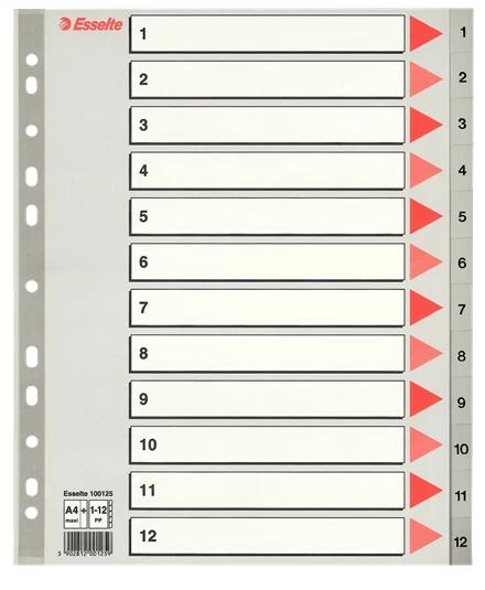 Buy Esselte Leitz 100125 - Numeric tab index - Polypropylene (PP ...